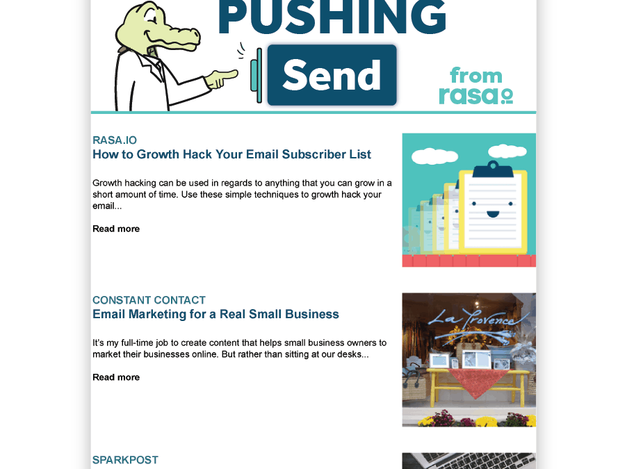 rasanewslettercollagesingle1-05 | rasa.io