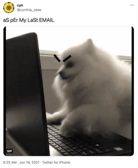 Per My Last Email Meme & More Troublesome Phrases | rasa.io