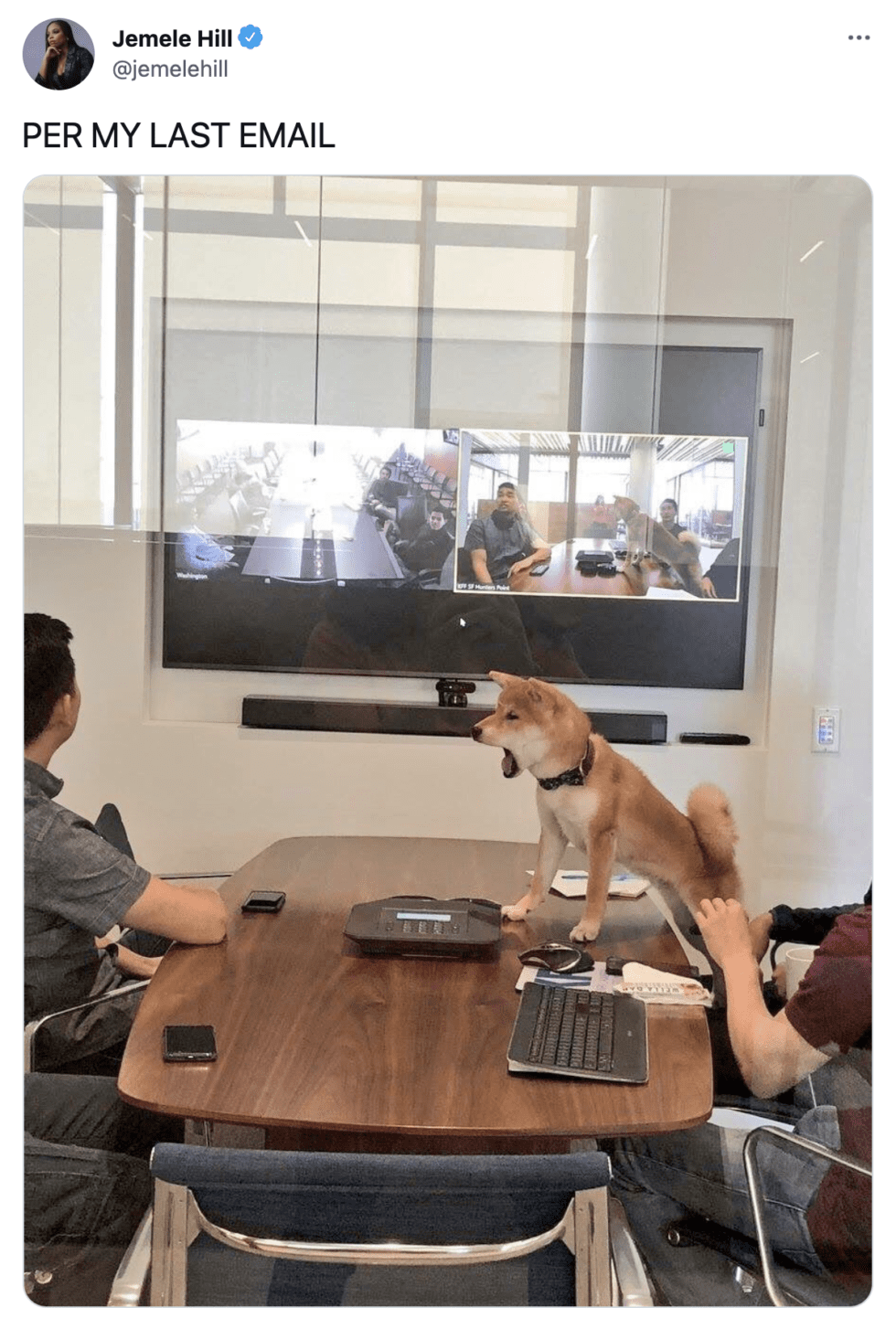 Per My Last Email Meme & More Troublesome Phrases | rasa.io