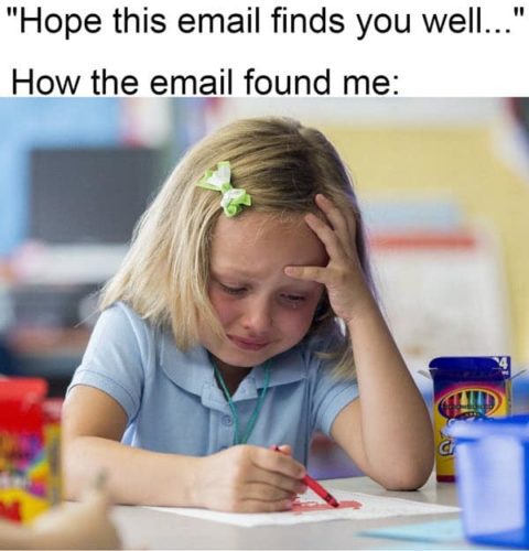 A Round-Up of Eight of Our Favorite Email Memes | rasa.io